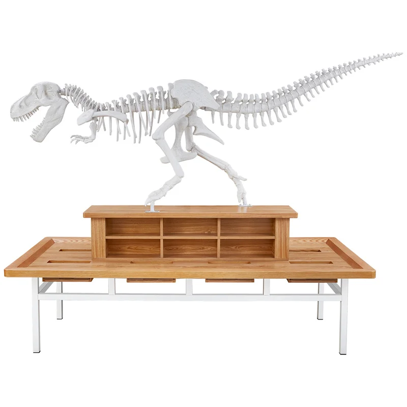 Indoor-outdoor Dinosaur Archaeological Excavation Digging Table Set ...