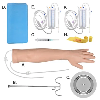 Venipuncture Training Hand Intravenous Simulator Iv Injection Model ...