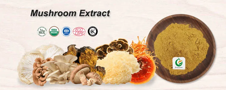 Private Label Mushroom Complex Mushroom Mix Powder Organic Mushroom ...