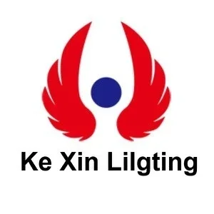 Company Overview - Hubei Kexin Electronic Commerce Co., Ltd.