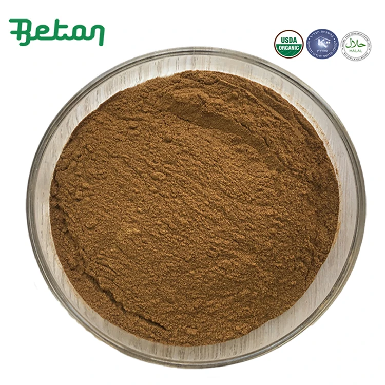 Food Grade 10:1 20:1 Extract Echinacea Purpurea Herb Dry Extract Powder ...