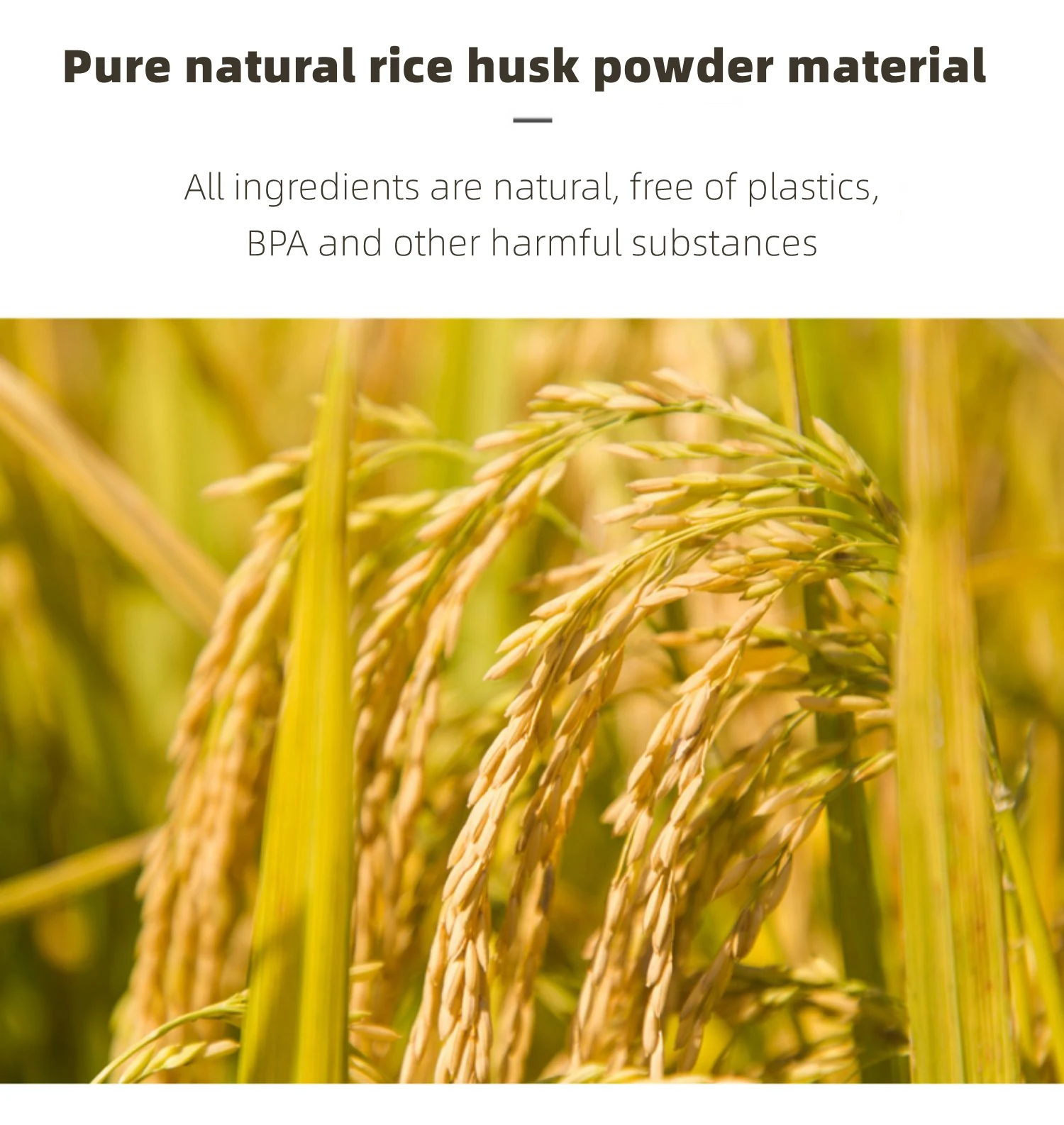 Rice Husk Airtight Lunch Boxes - Biodegradable & Durable