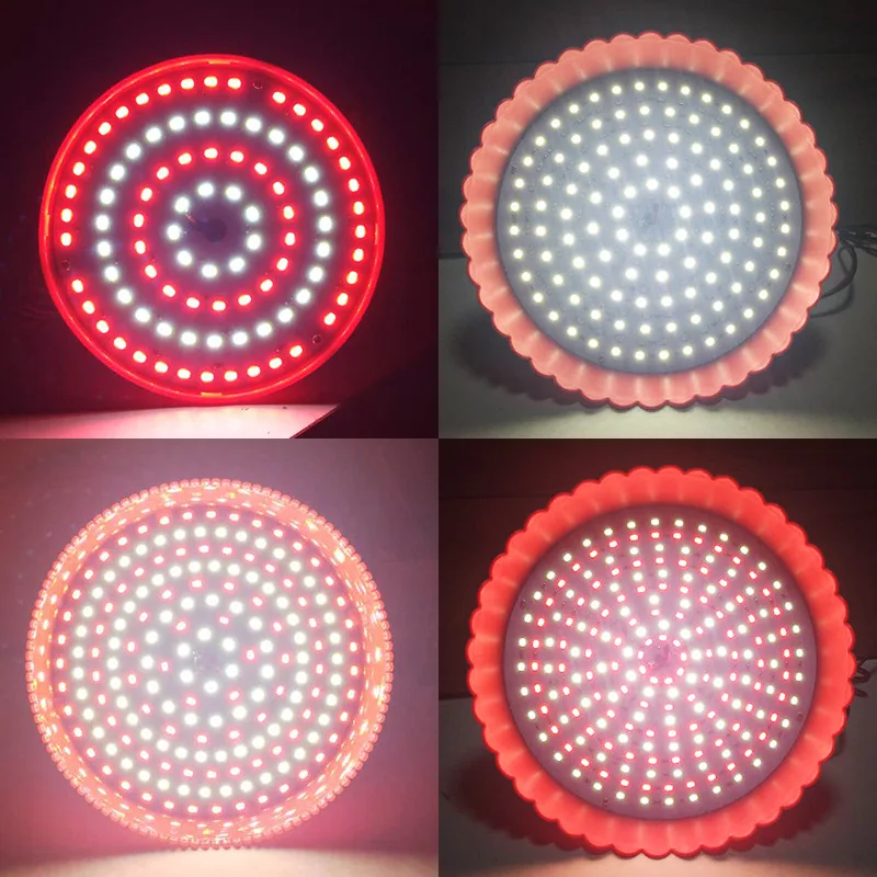 24w E27 Fresh Pork Light - Efficient LED Lighting Solutions