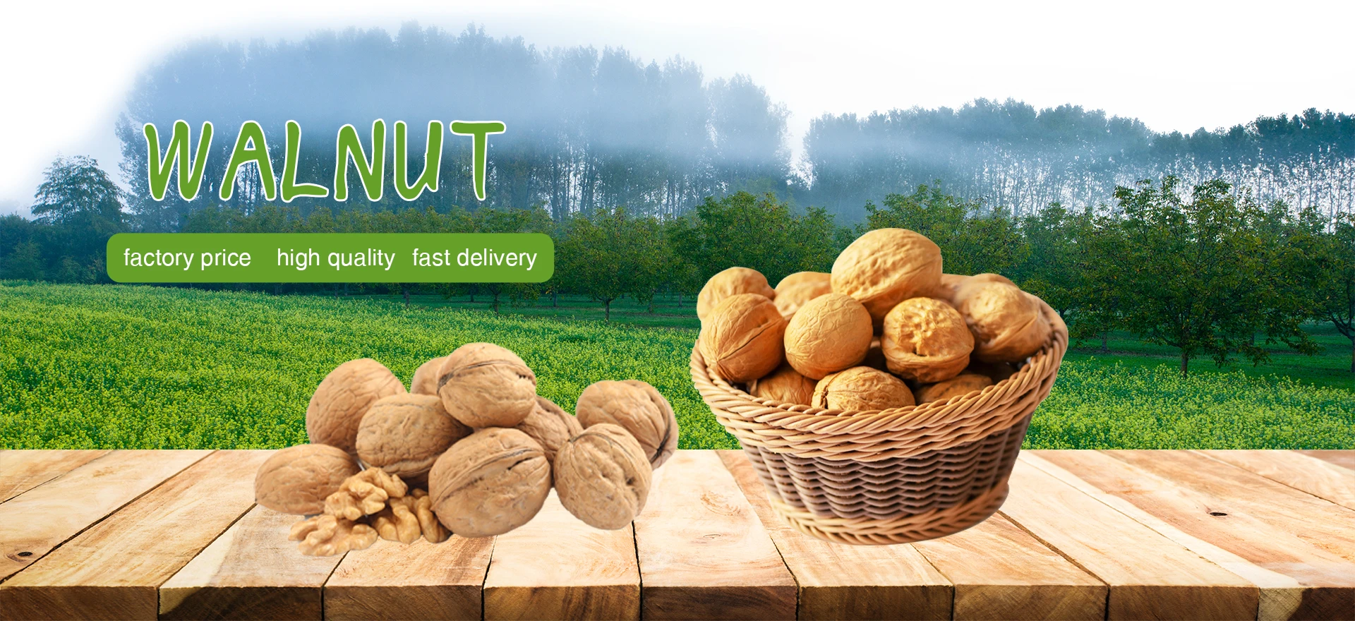 Hebei Luhua Import And Export Trade Co., Ltd. - walnut, Walnut Kernel