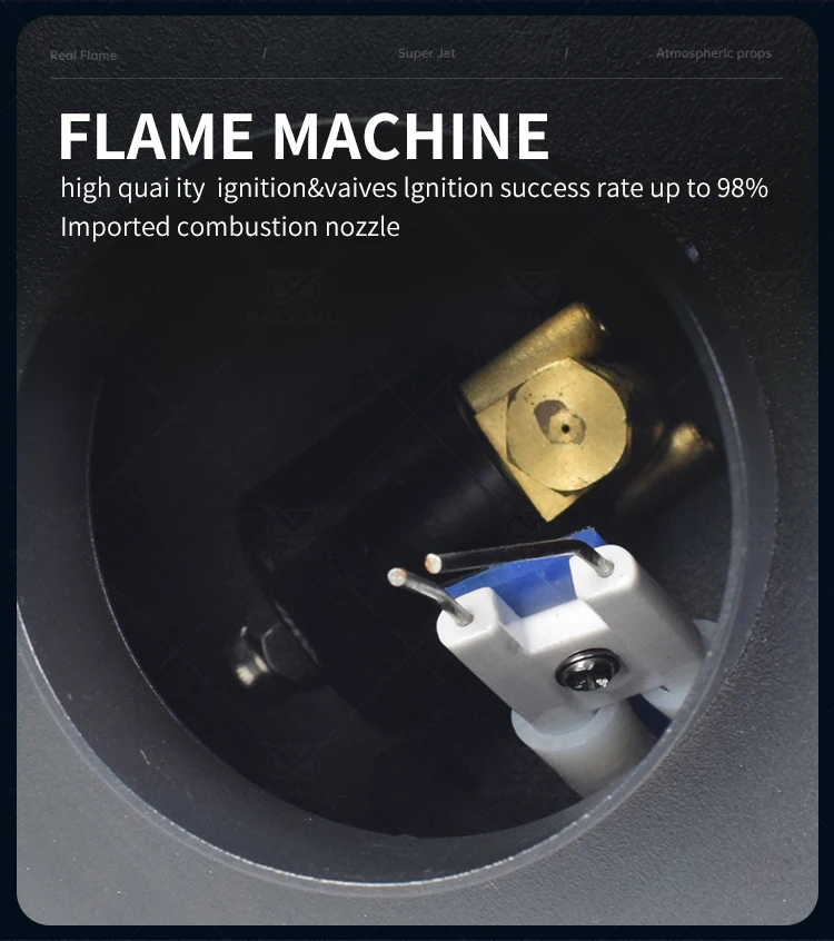 Stage Effect Flamethrower DMX Spray Fire Flame Machine