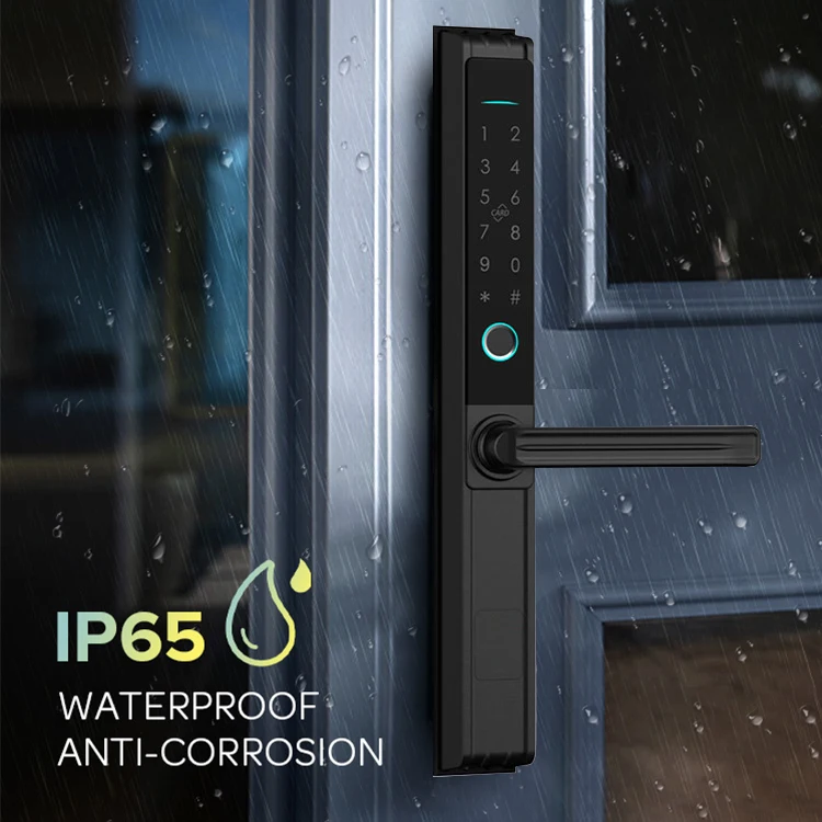Doorplus Waterproof Digital Biometric Handle Fingerprint Smart Gate ...