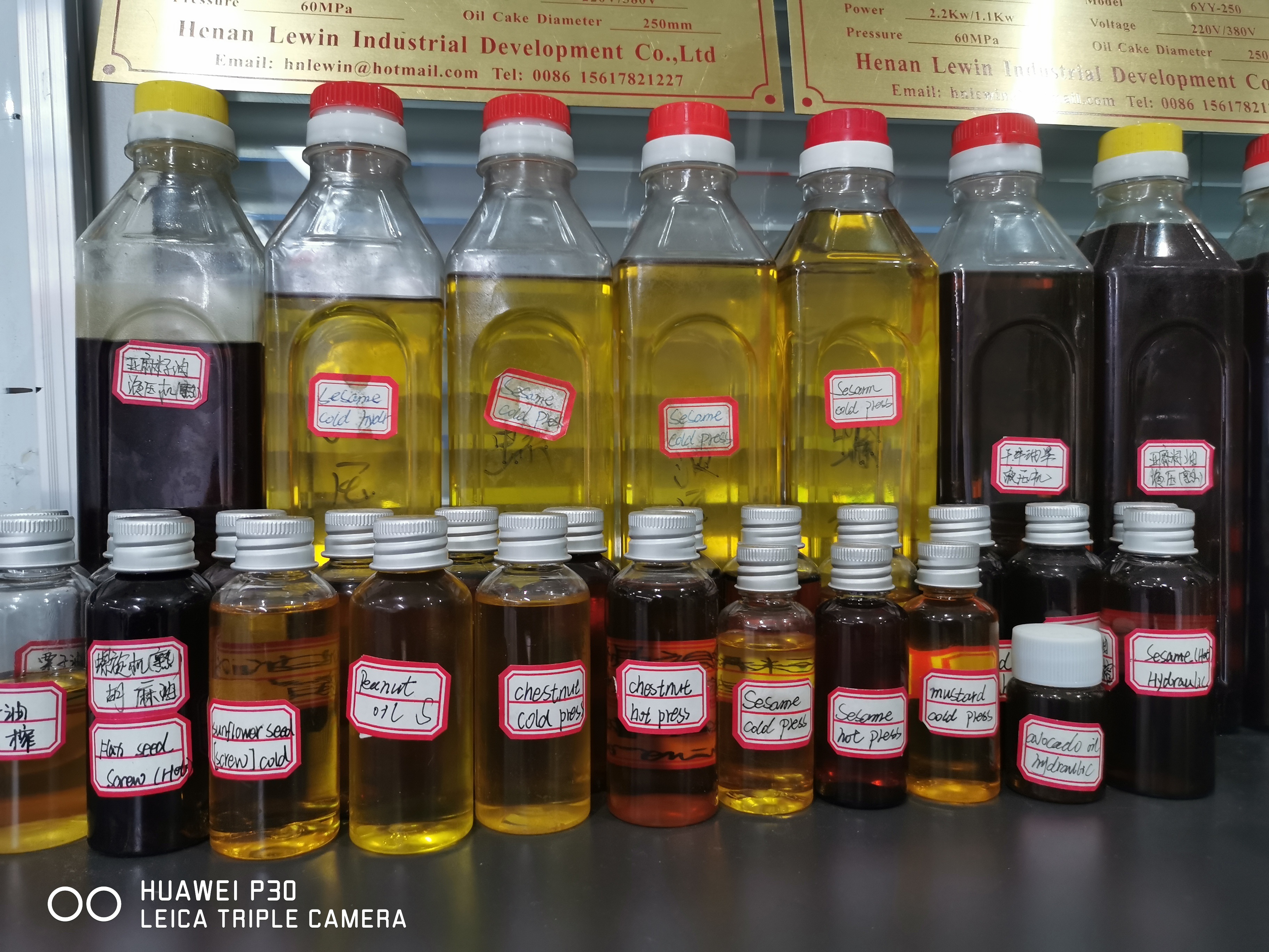 6YY-185 Hydraulic Oil Press Machine - High Yield & Easy Operation