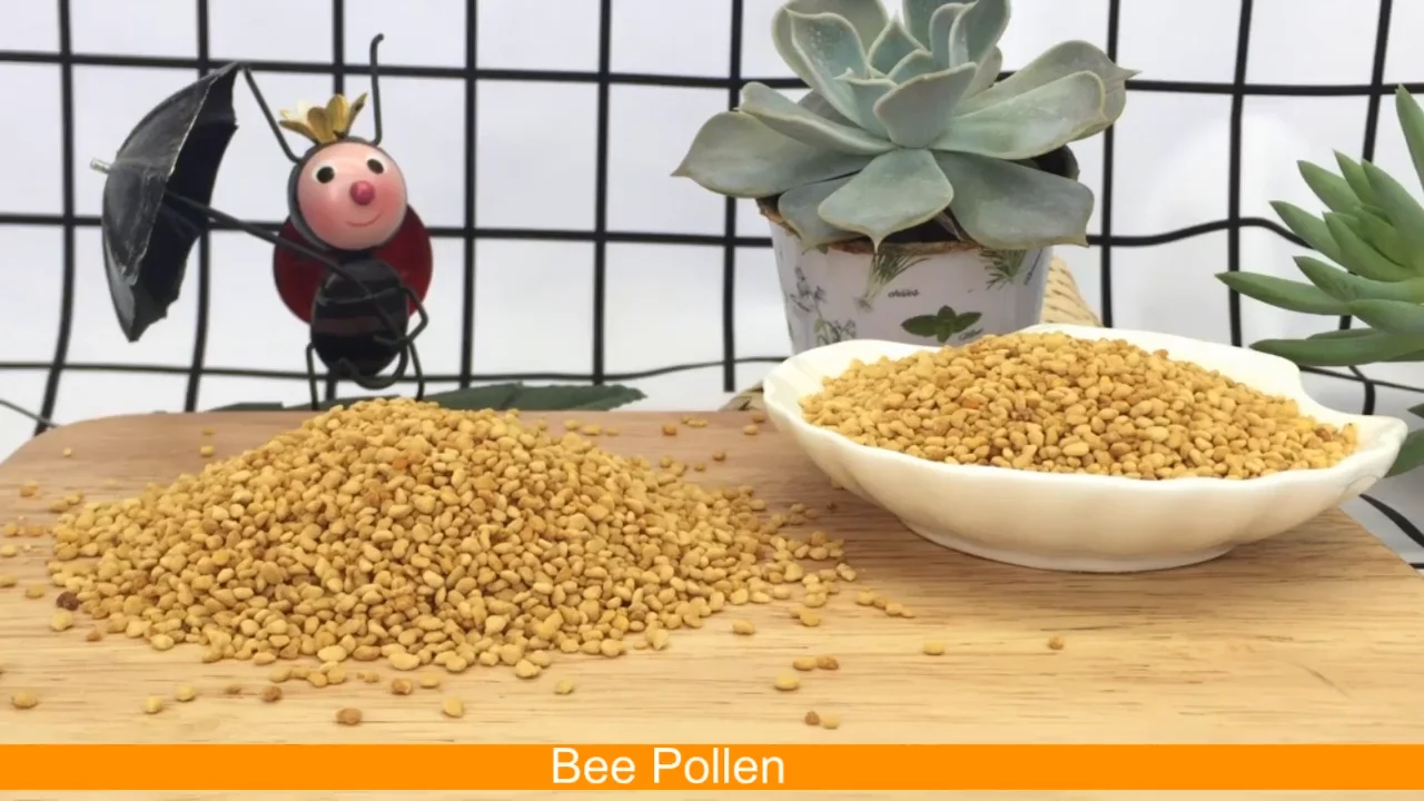 Organic 100% Pure And Natural Rapeseed Pollen Bee Pollen Supplier - Buy ...
