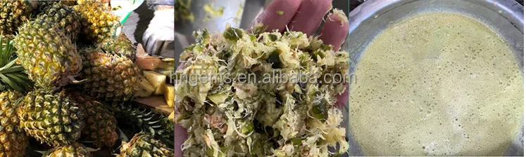 Commercial Grape Fruit Juicer Processing Machinery Grapes Cold Screw ...