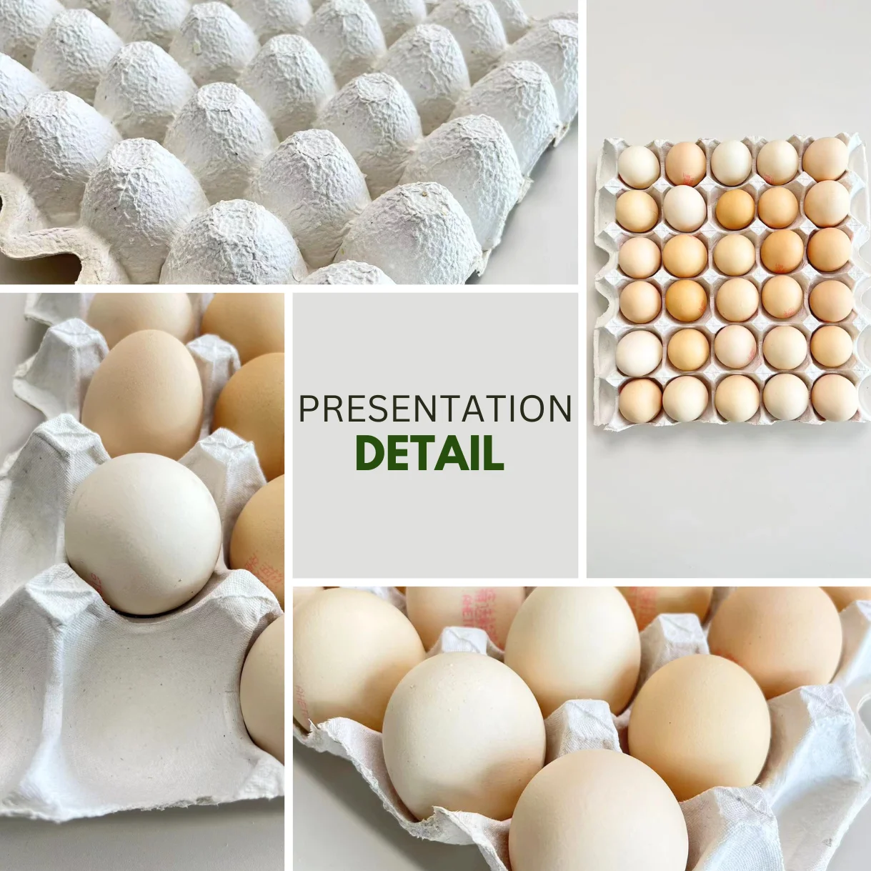 Biodegradable Eco-Friendly Egg Carton Tray Box 12/15/30 Sell Egg Paper ...