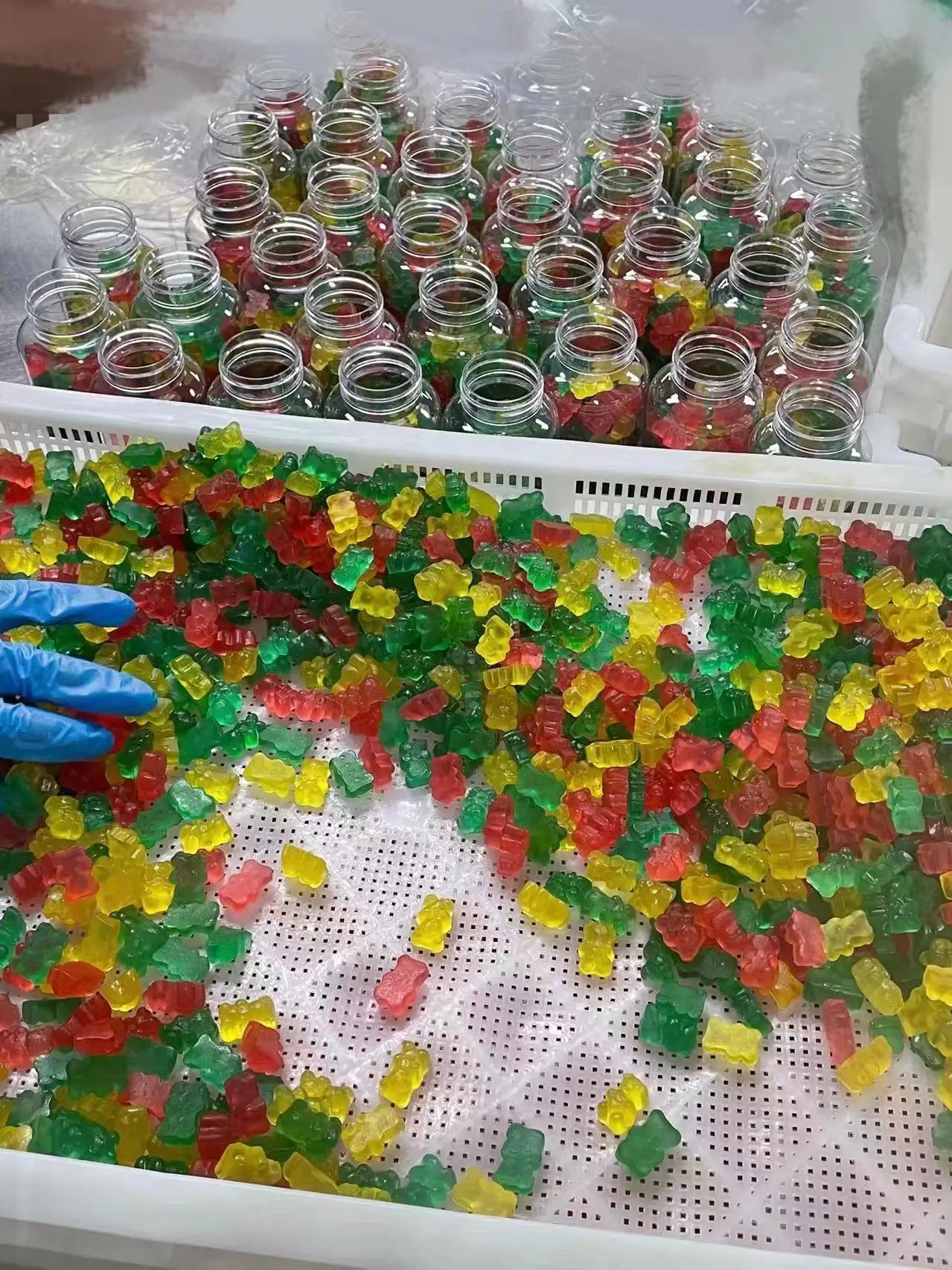Best Tasting Fresh And Fruity Hemp Gummy Bears Hemp Edibles Bears - Buy ...