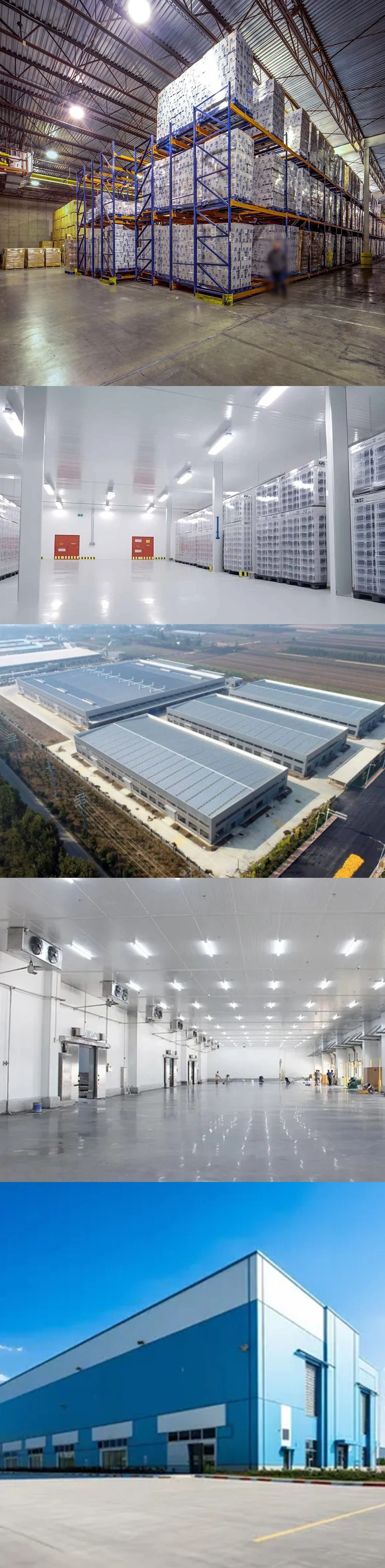 Cold Storage Containers - Durable Steel Structure Warehouses