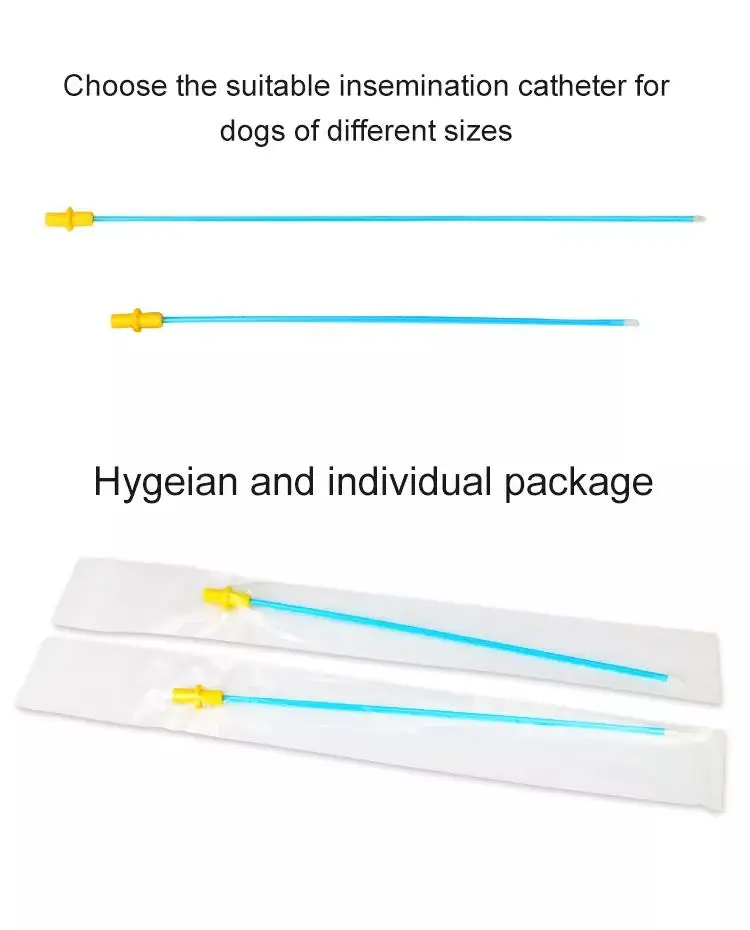 Canine Artificial Intrauterine Dog Insemination Breeder Dog Vas ...