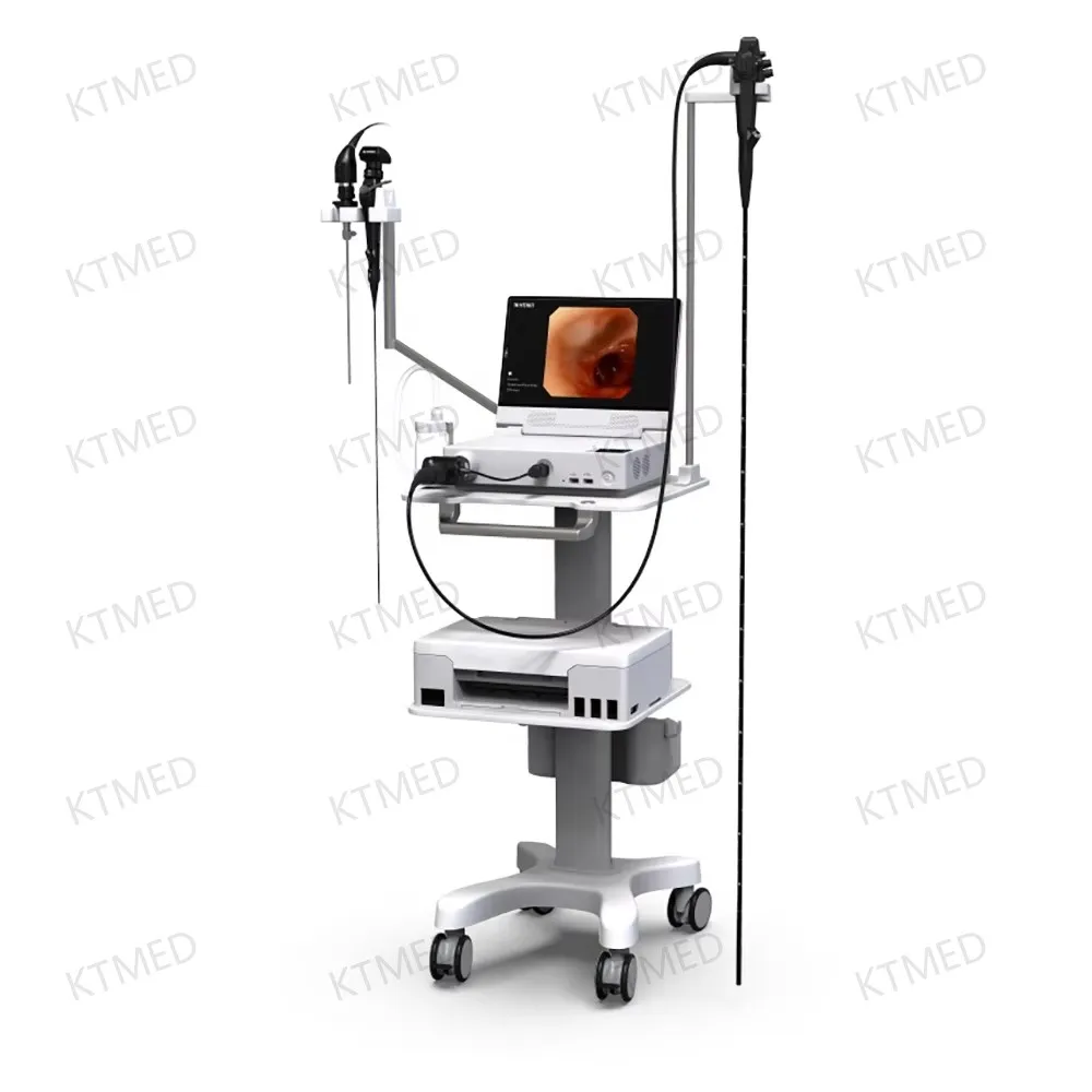 KT-W213 Veterinary Small Animal Endoscope Portable Integrated Endoscope ...