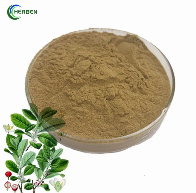 Wholesale Natural Yerba Mate Extract Yerba Mate Extract Powder - Buy ...