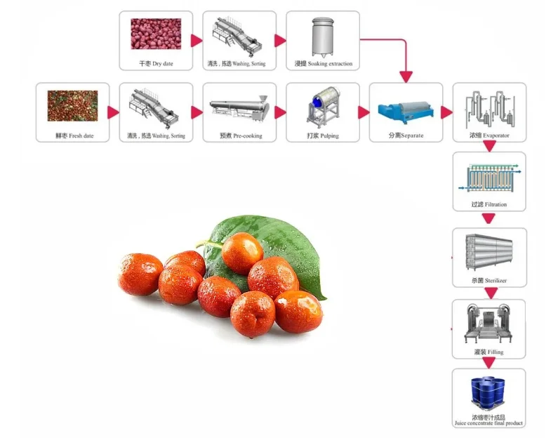Palm Dates Processing Line - Efficient Date Syrup Production