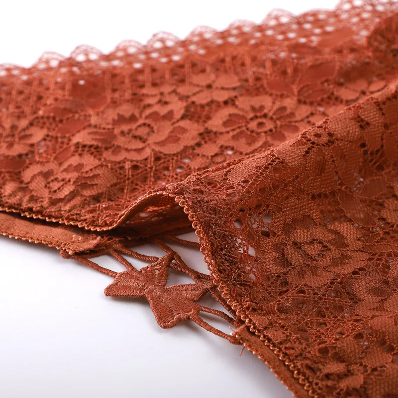 High Cut Lace Panties - Seamless, Anti-Bacterial Underwear