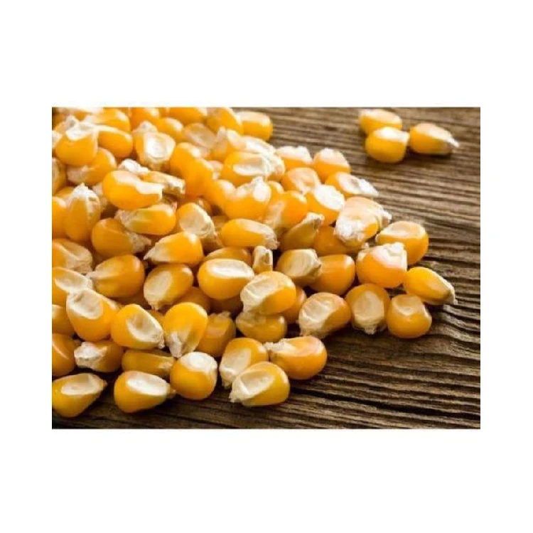 Wholesale Good Quality At Factory Price Corn Shelled Corn Drier Corn ...
