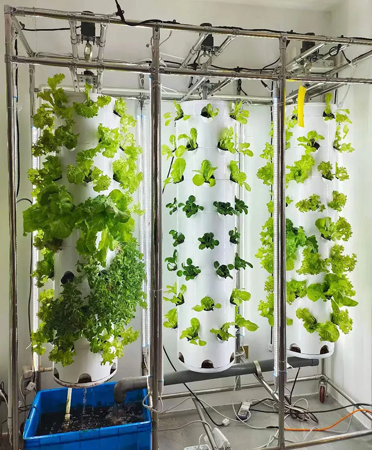 Motorized Aeroponic Tower System for Vertical Farming | Eco-Friendly ...