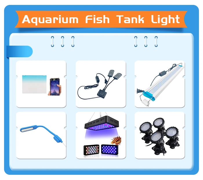 Customized Size Borderless Fish Tank Changing Led Aquarium Backlight ...
