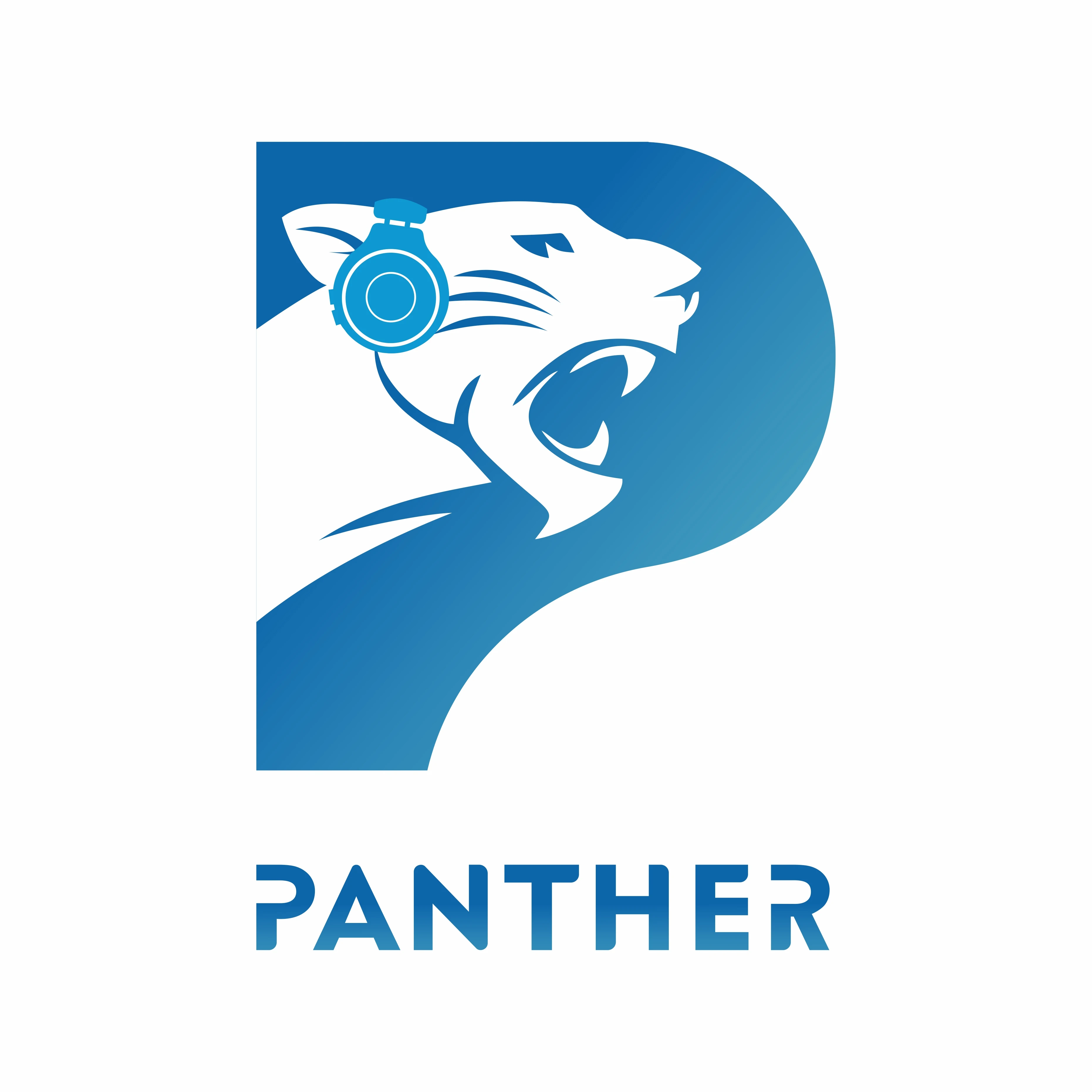 Company Overview - Sichuan Panther Technology Co., Ltd.