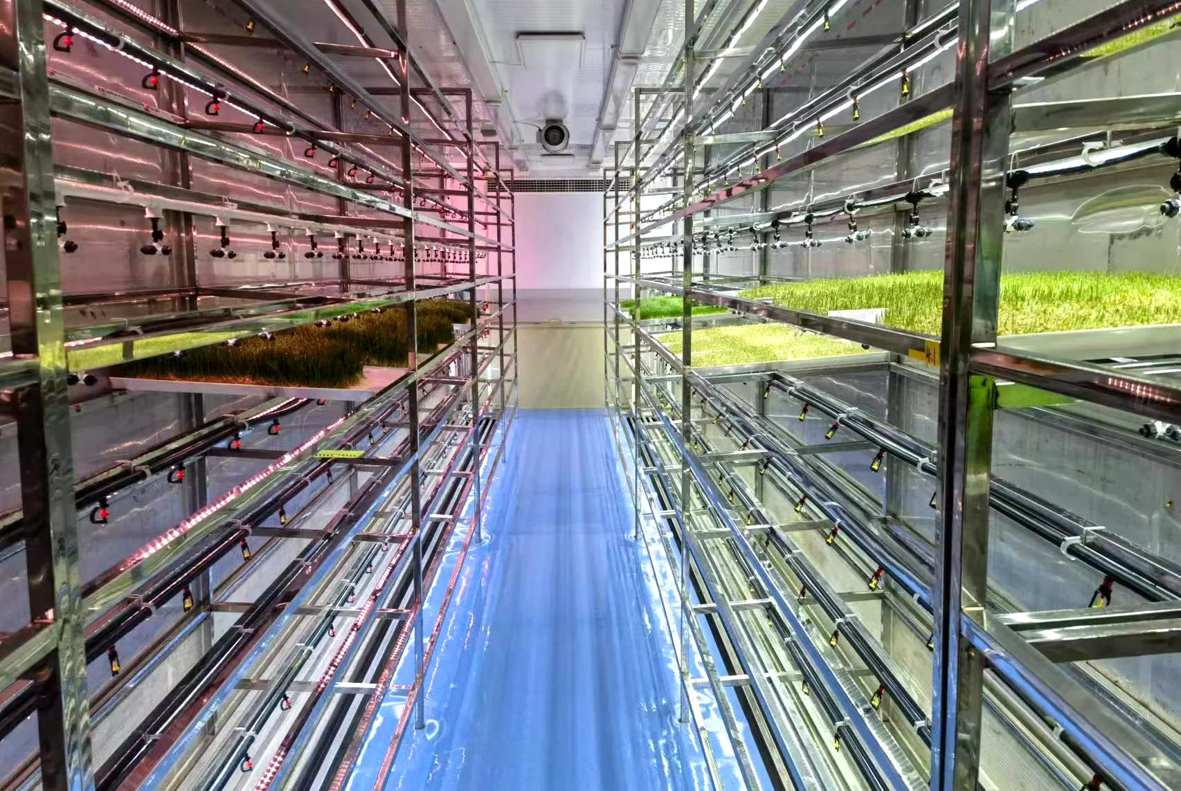 Smart Farm Shipping Container Farm - Vertical Hydroponic Growing System