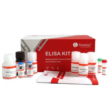 Bacterial Genomic Dna Extraction Kit - Buy Extraction Kit,Bacterial ...