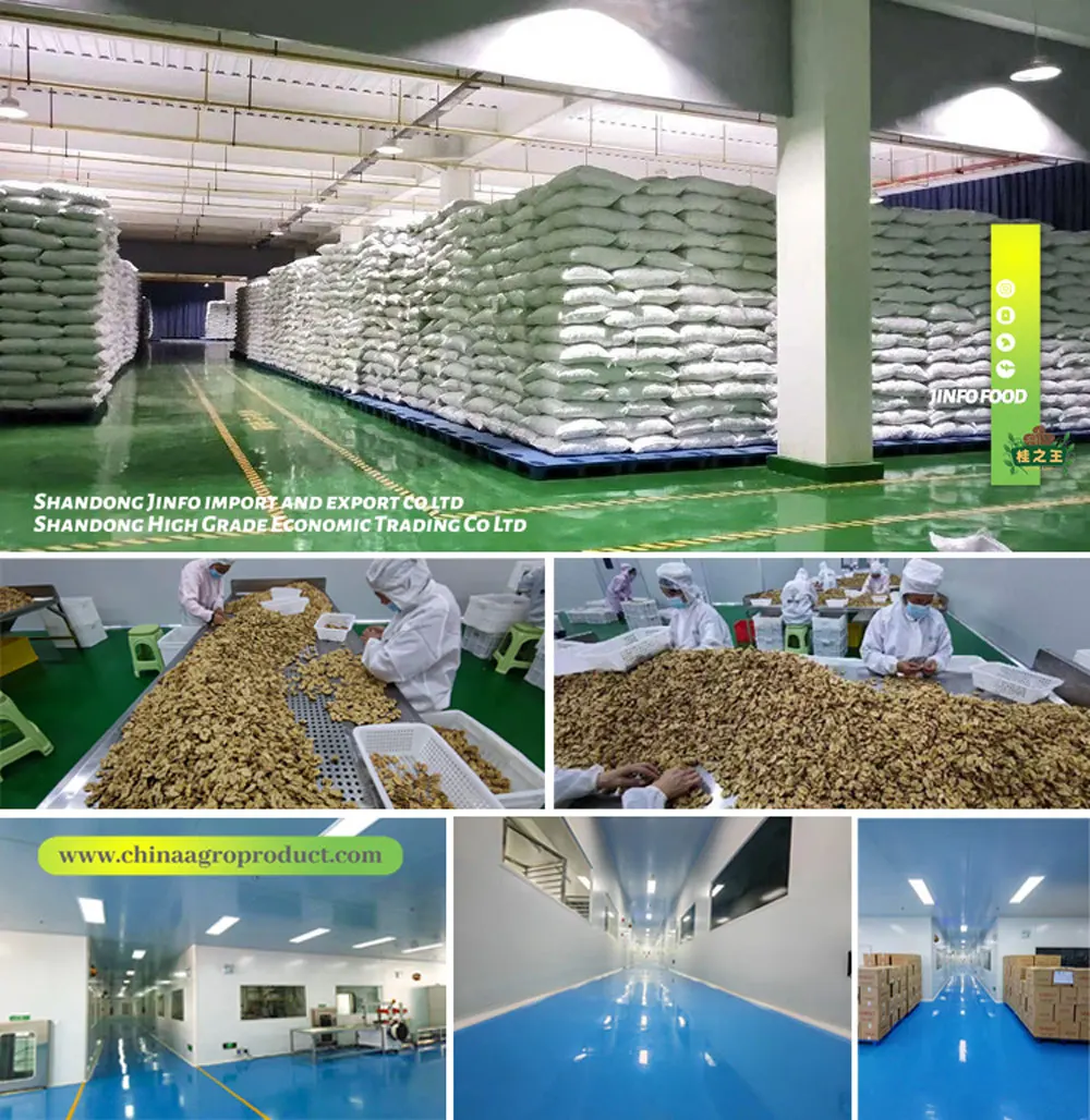 China 185 Type Walnut in Shell And Walnut Kernels Manufacturers ...