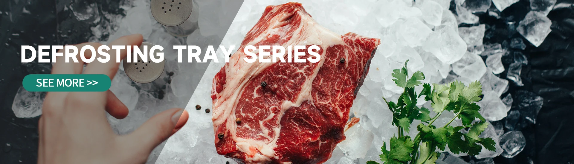 Company Overview - Ningbo Ziszis Kitchenware Co., Ltd.