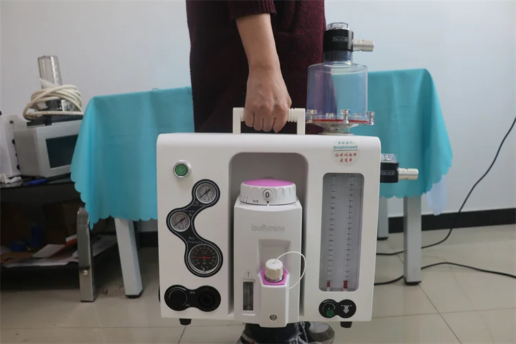 Portable Veterinary Anesthesia Machine For Veterinary Clinic Use From ...