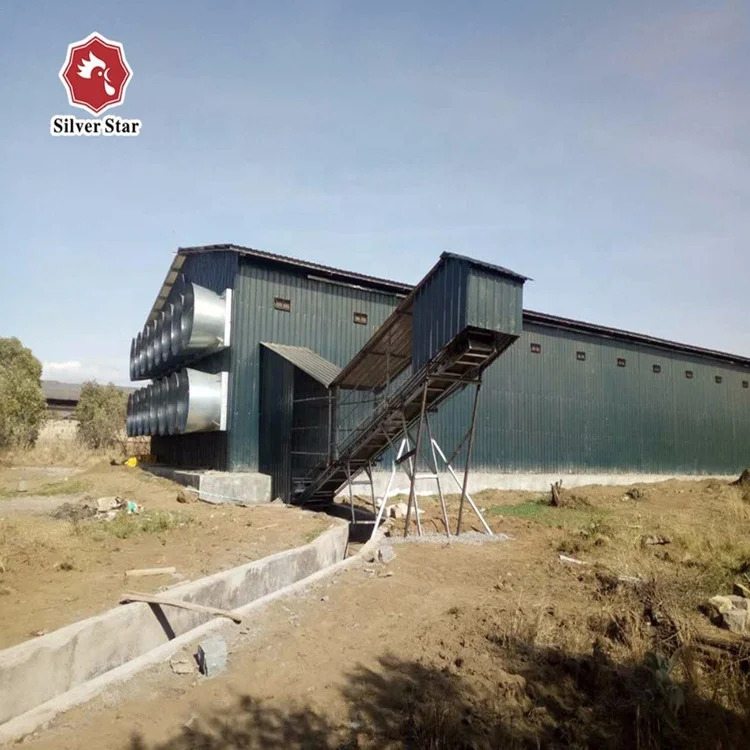 Broiler Poultry Farm House Design Folding Chicken Cage/multi-tier ...