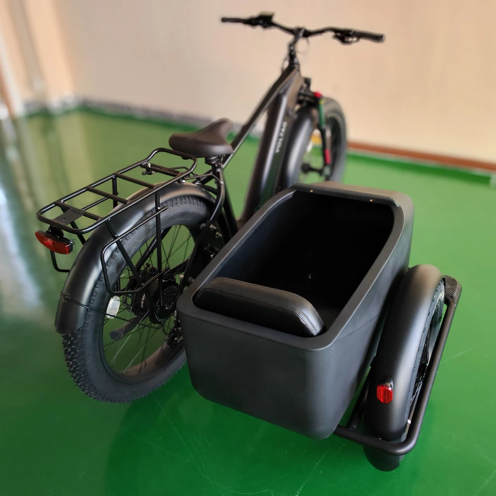 3 Wheel Ebike - Cargo Electric Scooter with 20 Inch Side Car