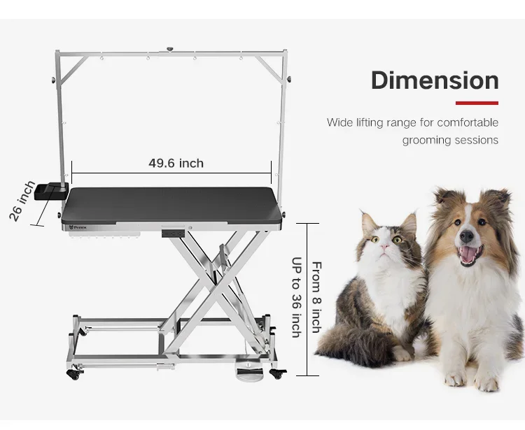 Professional 304 Stainless Steel X Structure Electric Lifting Dog ...