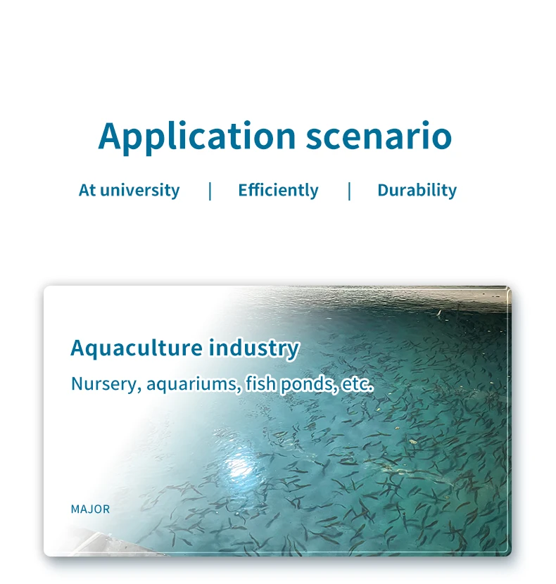 Qlozone Fine Bubble Aerator Fish Fram Pond Micro Nano Aeration air ...