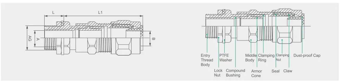 Iecex Armoured Cable Gland Explosion-proof Brass Nickel Planted Cable ...