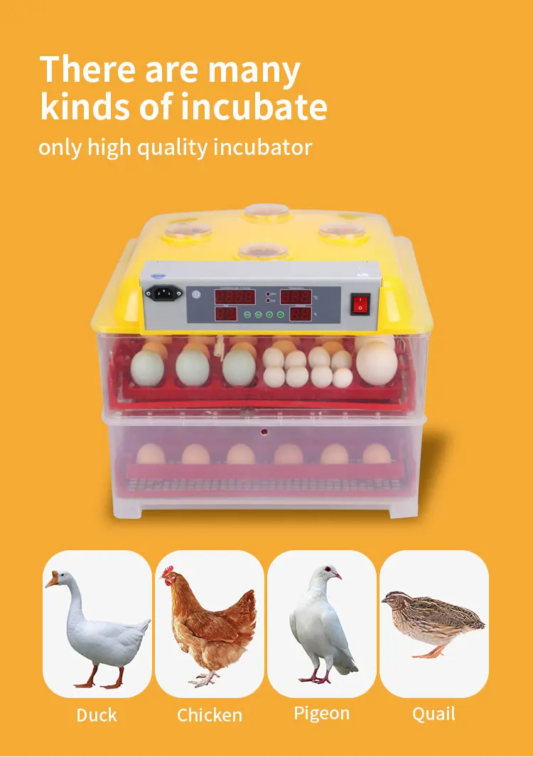 Brinsea Mini Advance Incubator - High Productivity & Automatic