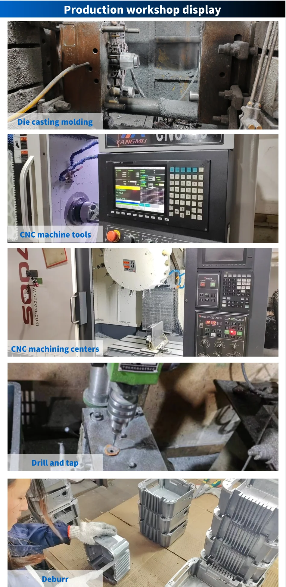 Factory Customized High Precision Food Grade Aluminum Alloy Die-casting ...