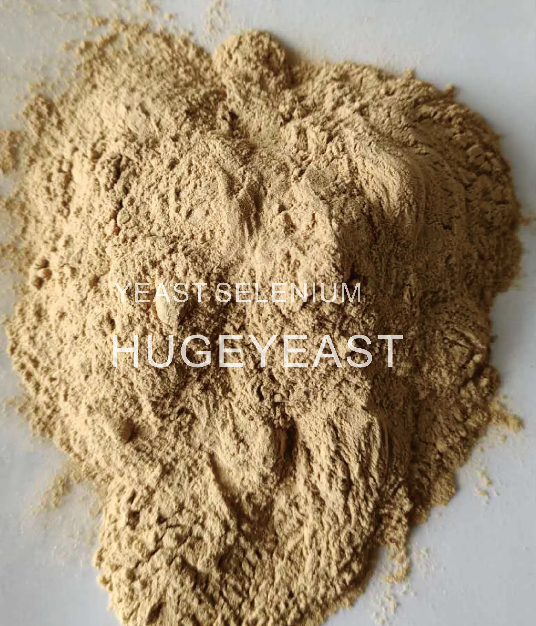 Premium Husbandry Yeast Organic Selenium Feed Supplement for Enhanced ...