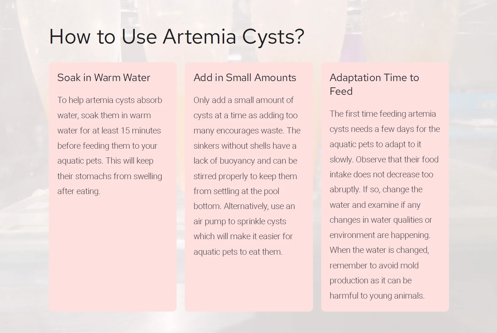 Aquaculture Brine Shrimp Artemia Cysts for Fish Food