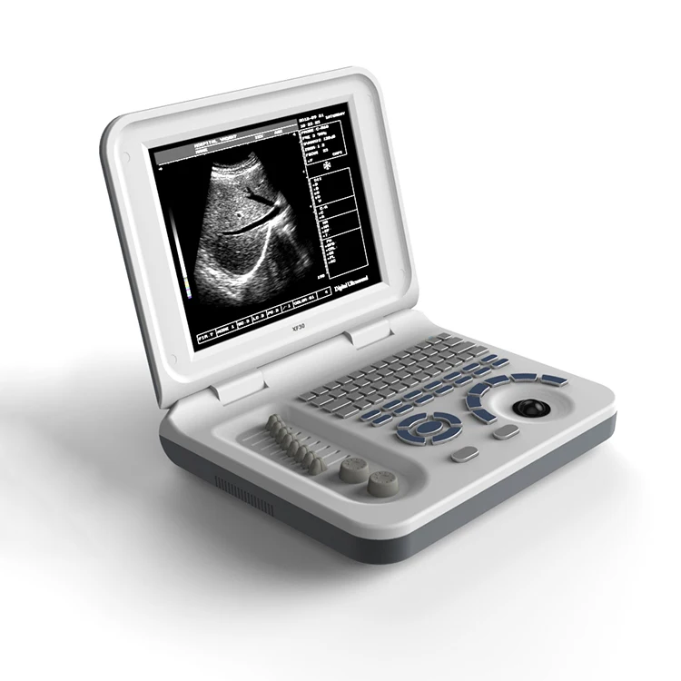 Veterinary Medical Ultrasound Instruments Portable Full Digital Sheep Canine Dog Pig Black White ...