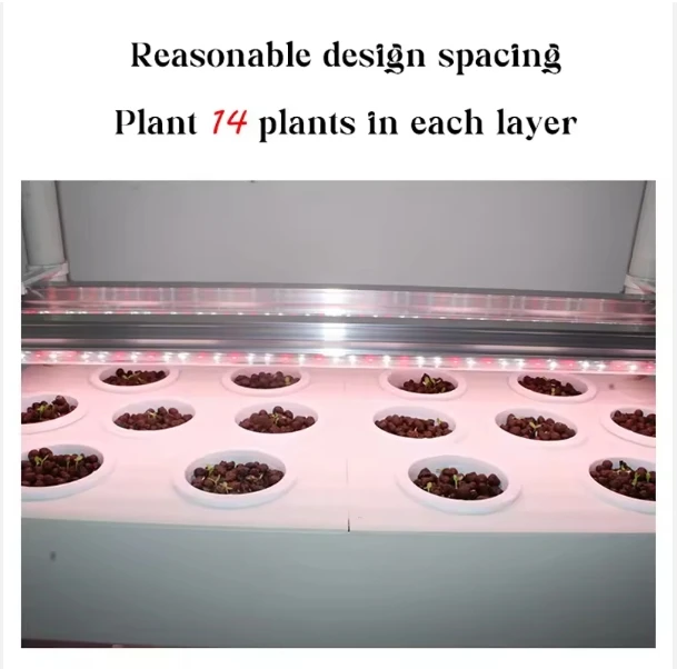 Indoor Soilless Cultivation Equipment Intelligent Vegetable Planter 4 ...