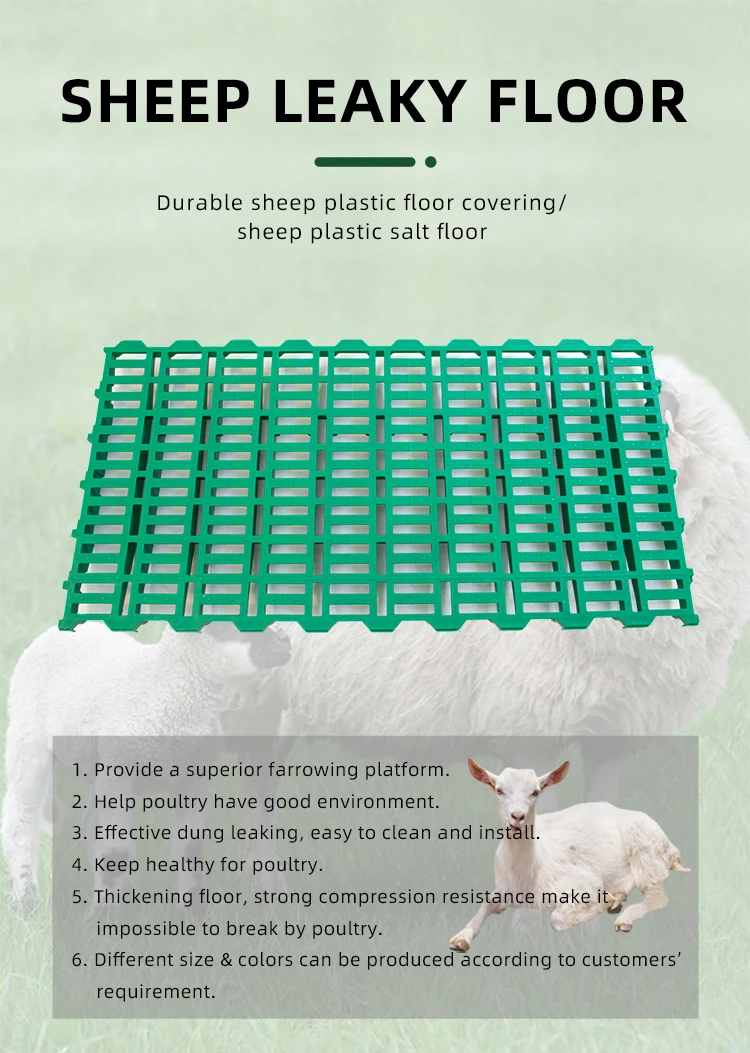 Plastic Sheep and Goat Farm Plastic Slat Floor - Durable & Efficient