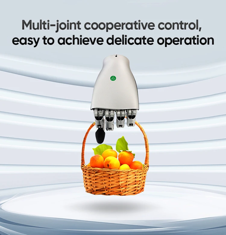 6-axis Bionic Hand - Intelligent Robot for Hand Cooperation