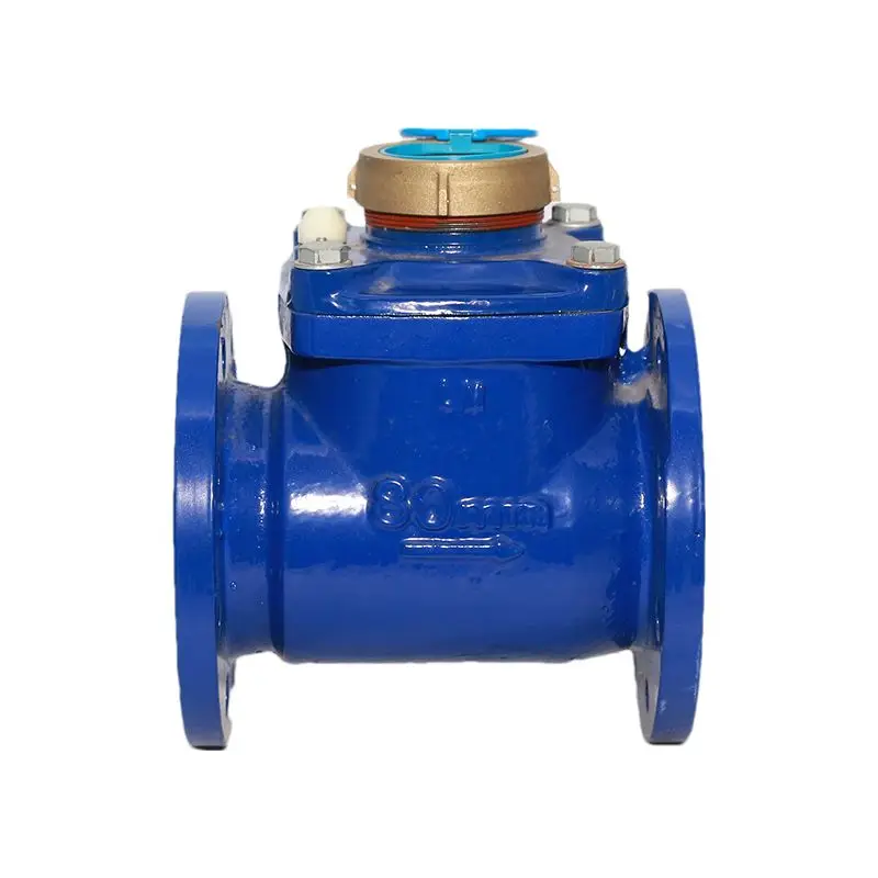 Dn 300 Industrial Ultrasonic Water Meter With Lorawan/mbus Technology ...
