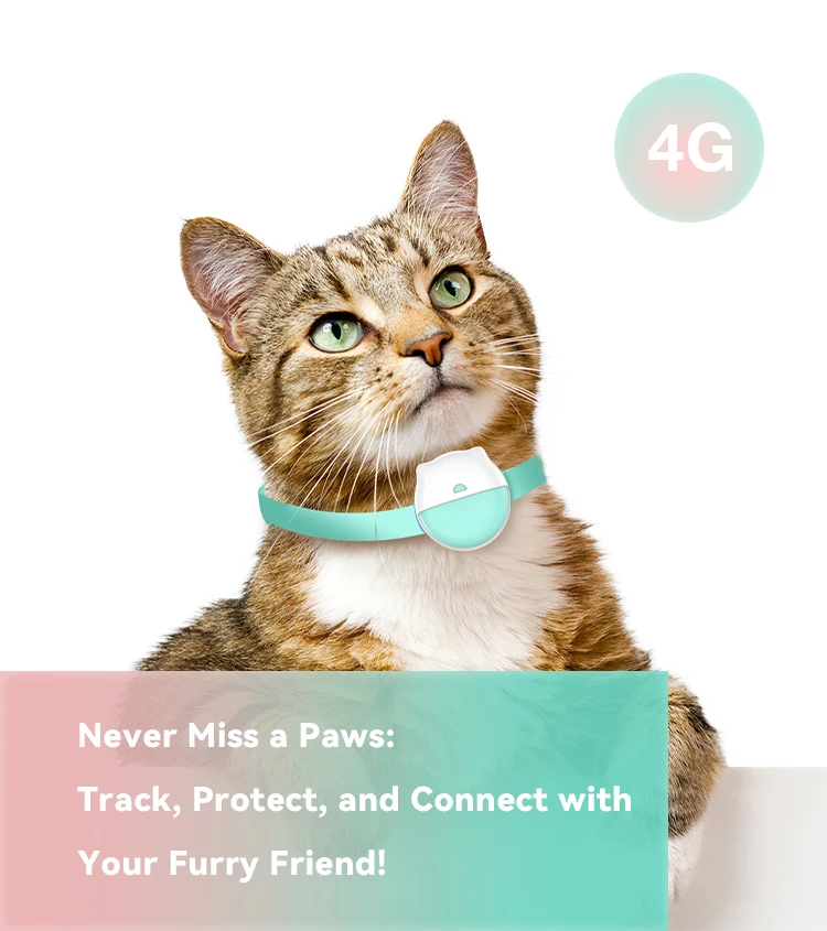 GPS Locator Mascota - Eview Pet GPS Tag 4G CAT-M Tracker