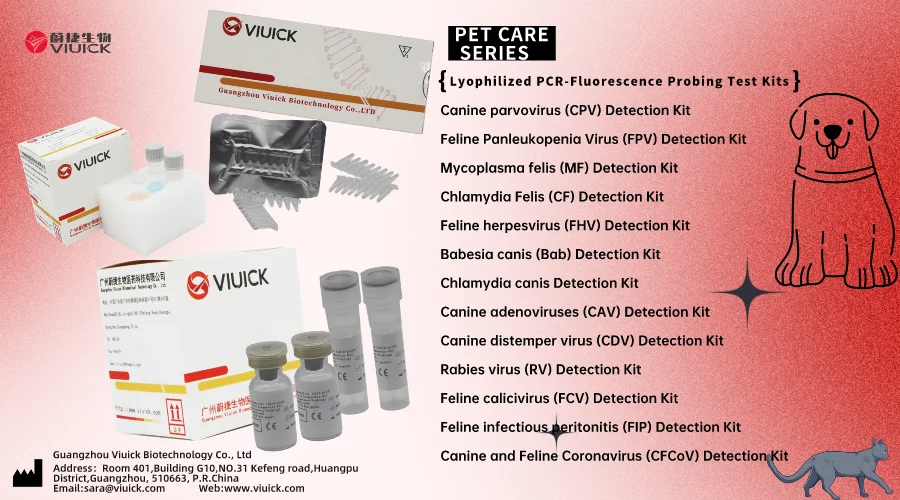 Canine Parvovirus Dog Disease Real Time Pcr Feline Canine Rtpcr Kit ...