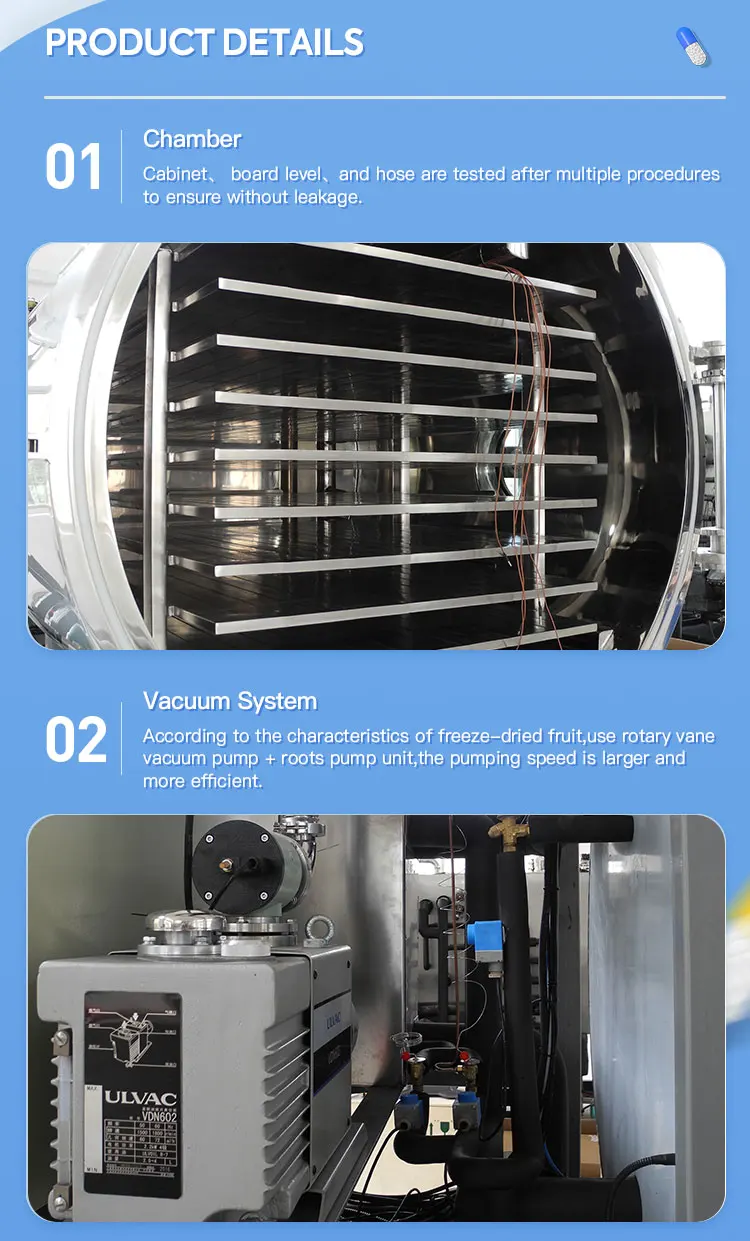 China Lyophilization Equipment Freeze Drying Lyophilizer Machine ...