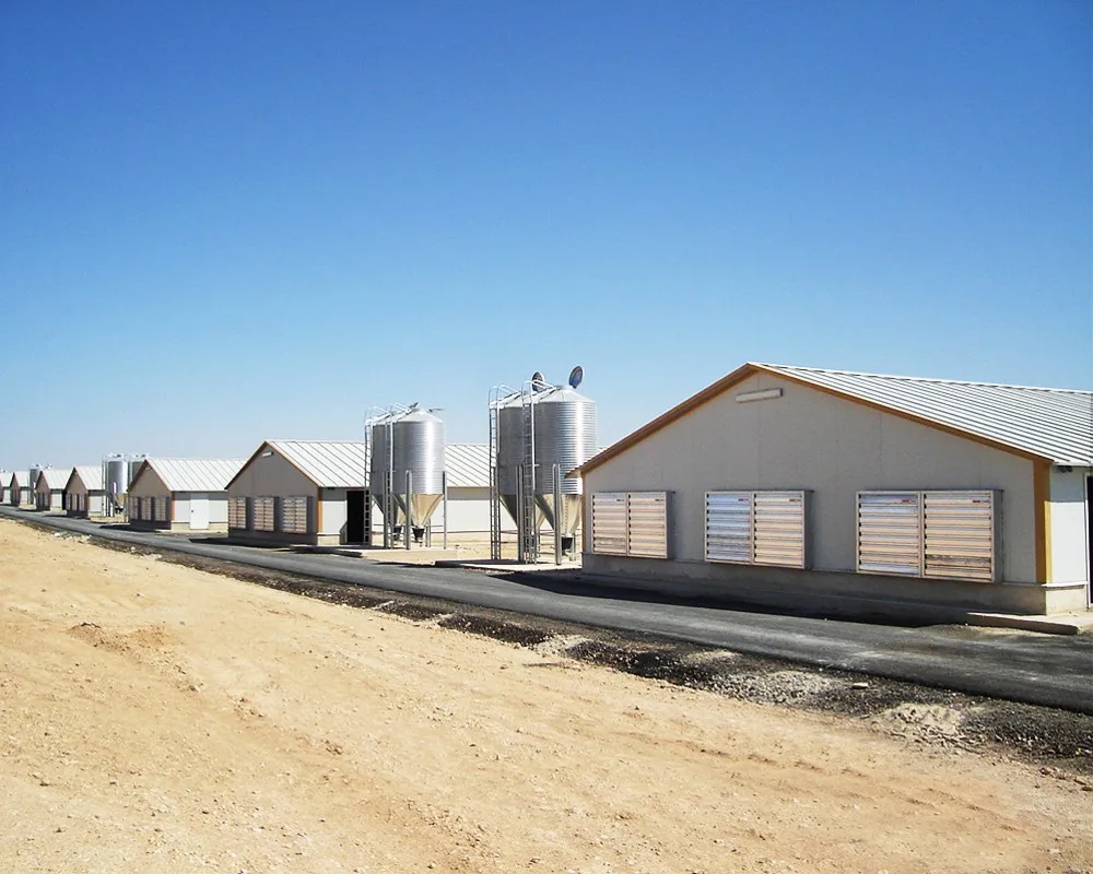 Durable Steel Structure Goat House & Sheep Barn Solutions