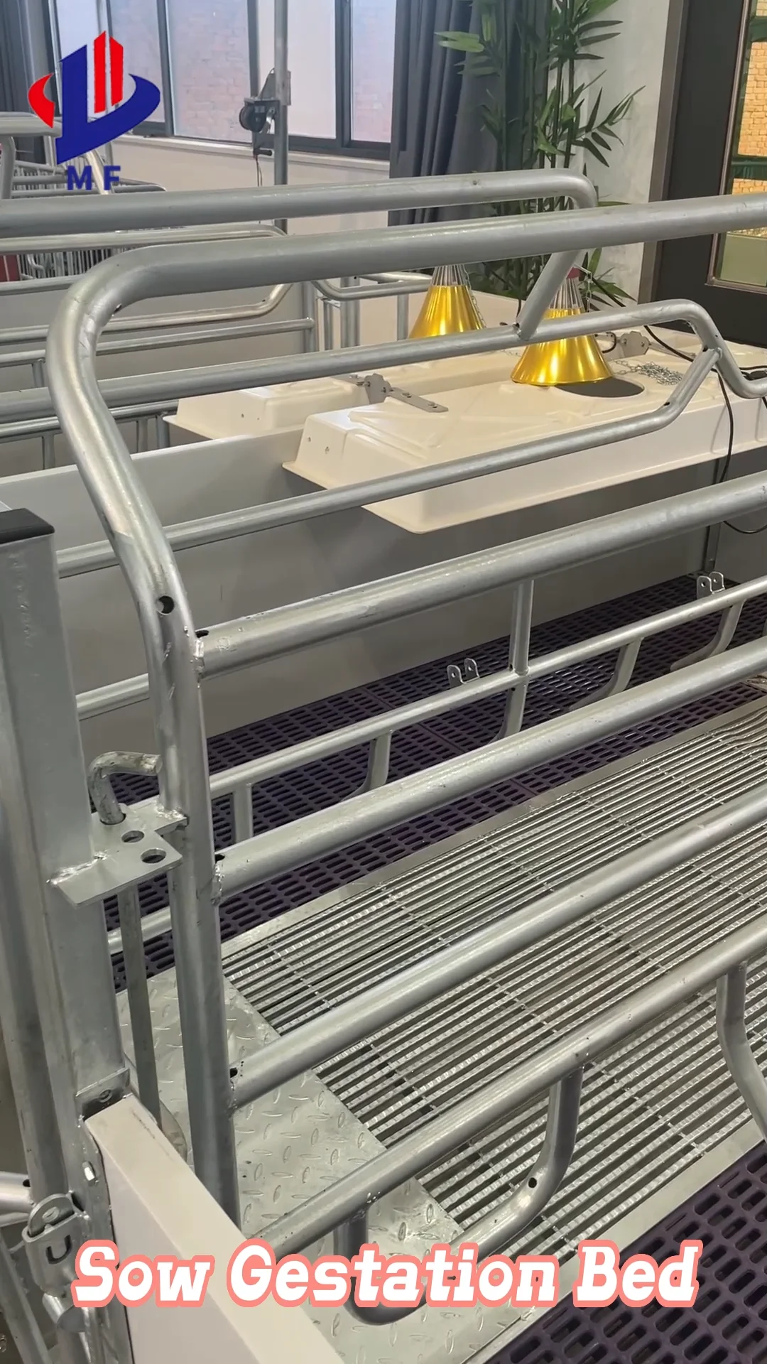 Farm Breeding Slat Floor Pig Cage Raising Equipment For Animal Farming ...