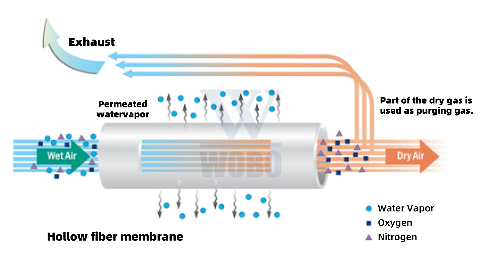 Cost-effective Air Moisture Separation Membrane Dehumidification